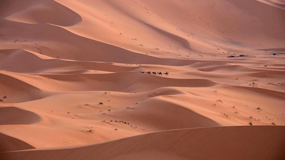 Marrakech Sahara Tour 5 days - Tours Kech